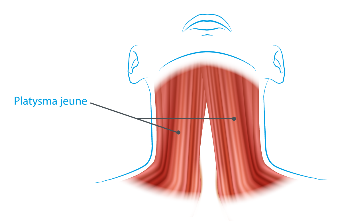 Chirurgie esthétique du cou à Paris par le Dr Weiss